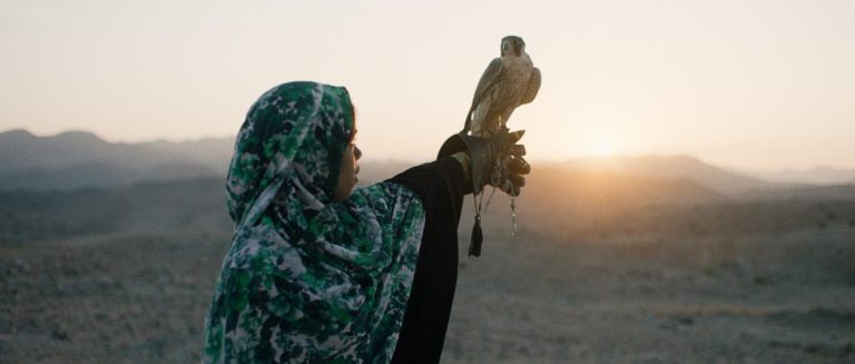 KIDS FIRST! Jury Blog » Blog Archive » The Falconer * Lots of Symbolism ...