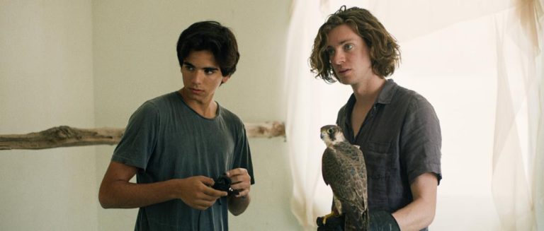 KIDS FIRST! Jury Blog » Blog Archive » The Falconer * Lots of Symbolism ...