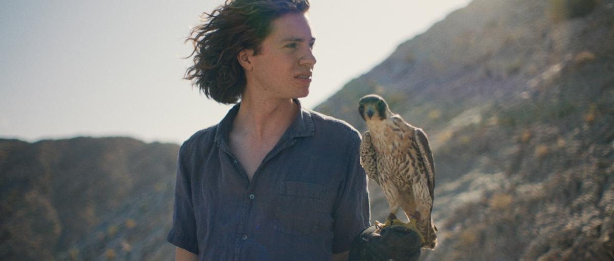 KIDS FIRST! Jury Blog » Blog Archive » The Falconer * Lots of Symbolism ...