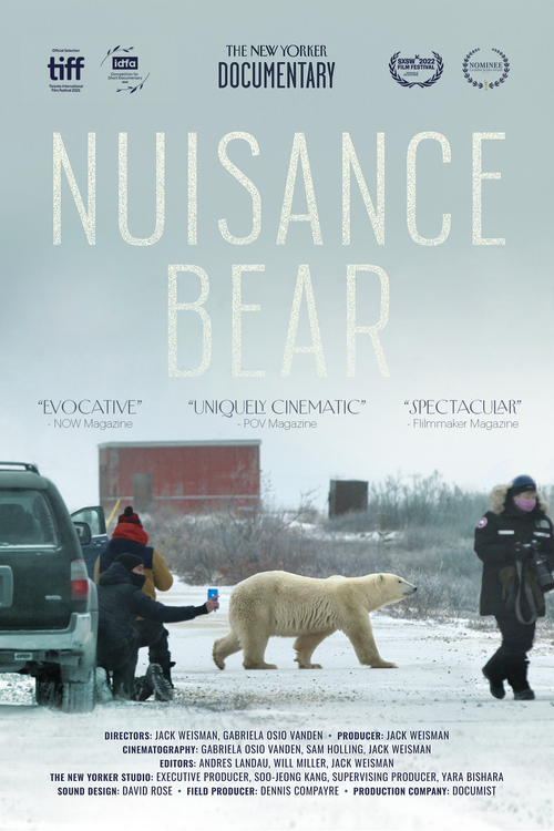 KIDS FIRST! News » Blog Archive » Nuisance Bear * Helps Us Realize That ...